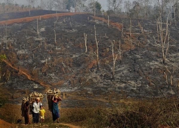 On the Frontline: Landless and Displaced – The future of Indigenous ...