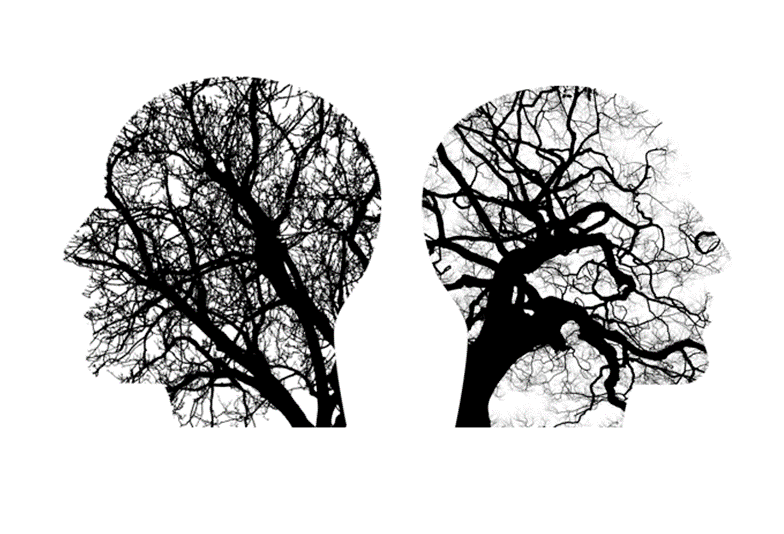 Policy & Politics: The Rise of the Nudge Expert | Discover Society